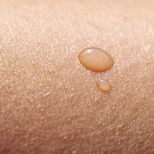 SOS Essentials - Clean your blood, Build your Immune System to Fight ...